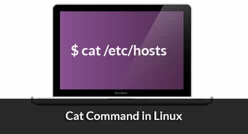 Cat Command in Linux - Onet IDC Onet IDC