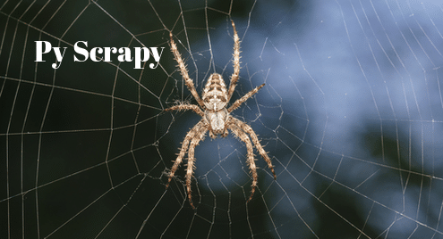 Web Scraping with Python Scrapy Module - Onet IDC Onet IDC