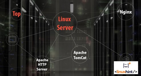Best Open Source Web Servers for Linux - Onet IDC Onet IDC